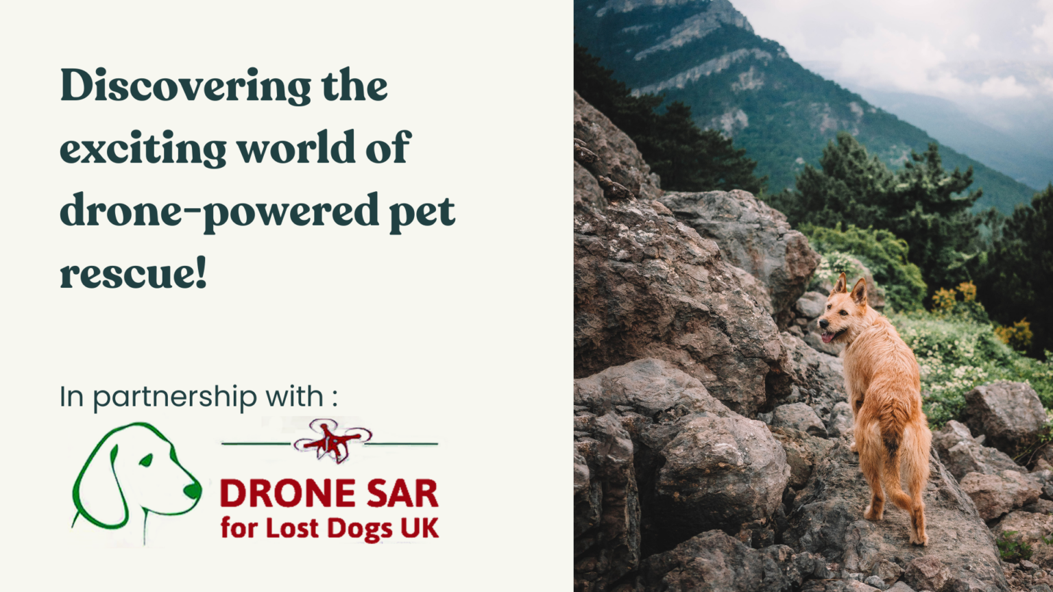 The exciting world of drone powered pet rescue for lost dogs! - Pet ...