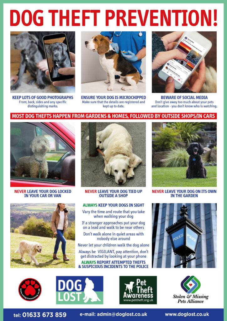 How to reduce dog theft - Pet Database